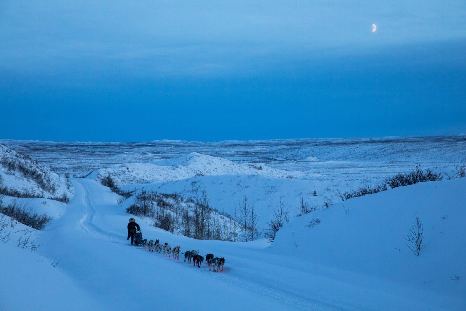 Why Alaska | Alaska Venture Fund