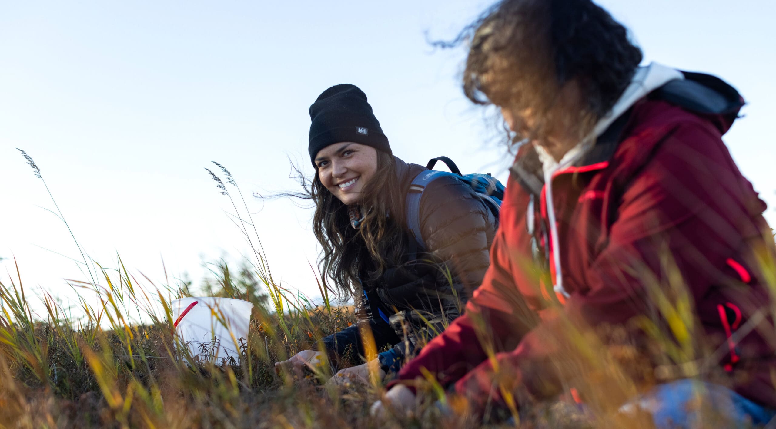 Indigenous Peoples Ecosystem Stewardship Virtual Exchange Program ...