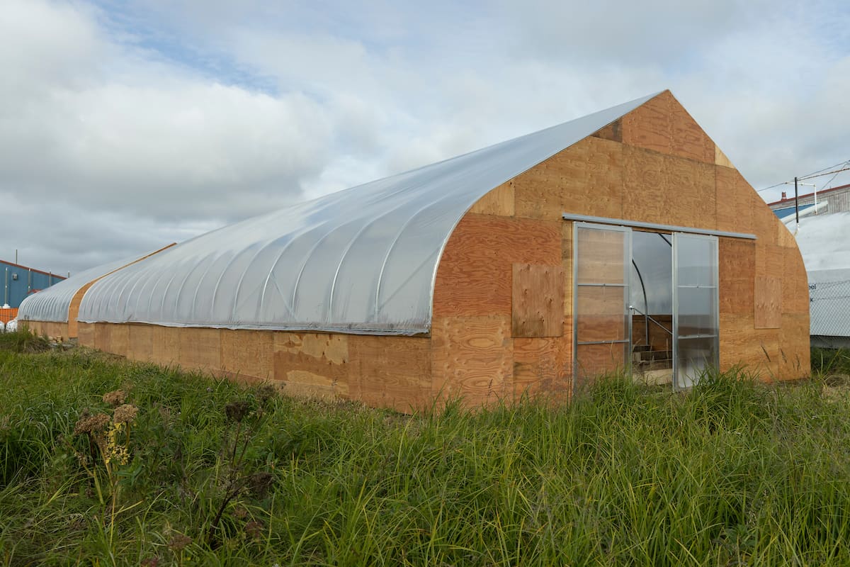 Feeding the Community: A New Greenhouse Project is Building Regional ...