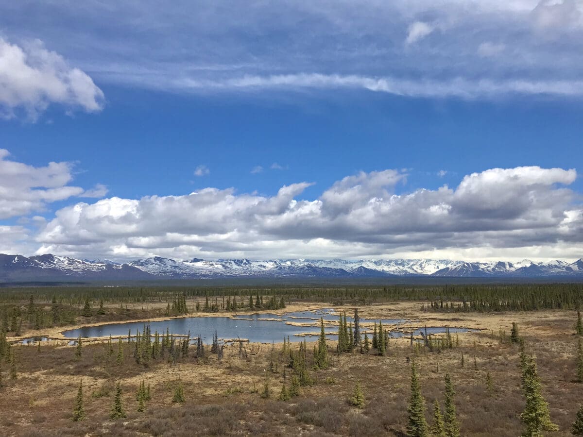 Nature-Based Climate Solutions on Alaska’s Public Lands | Alaska ...