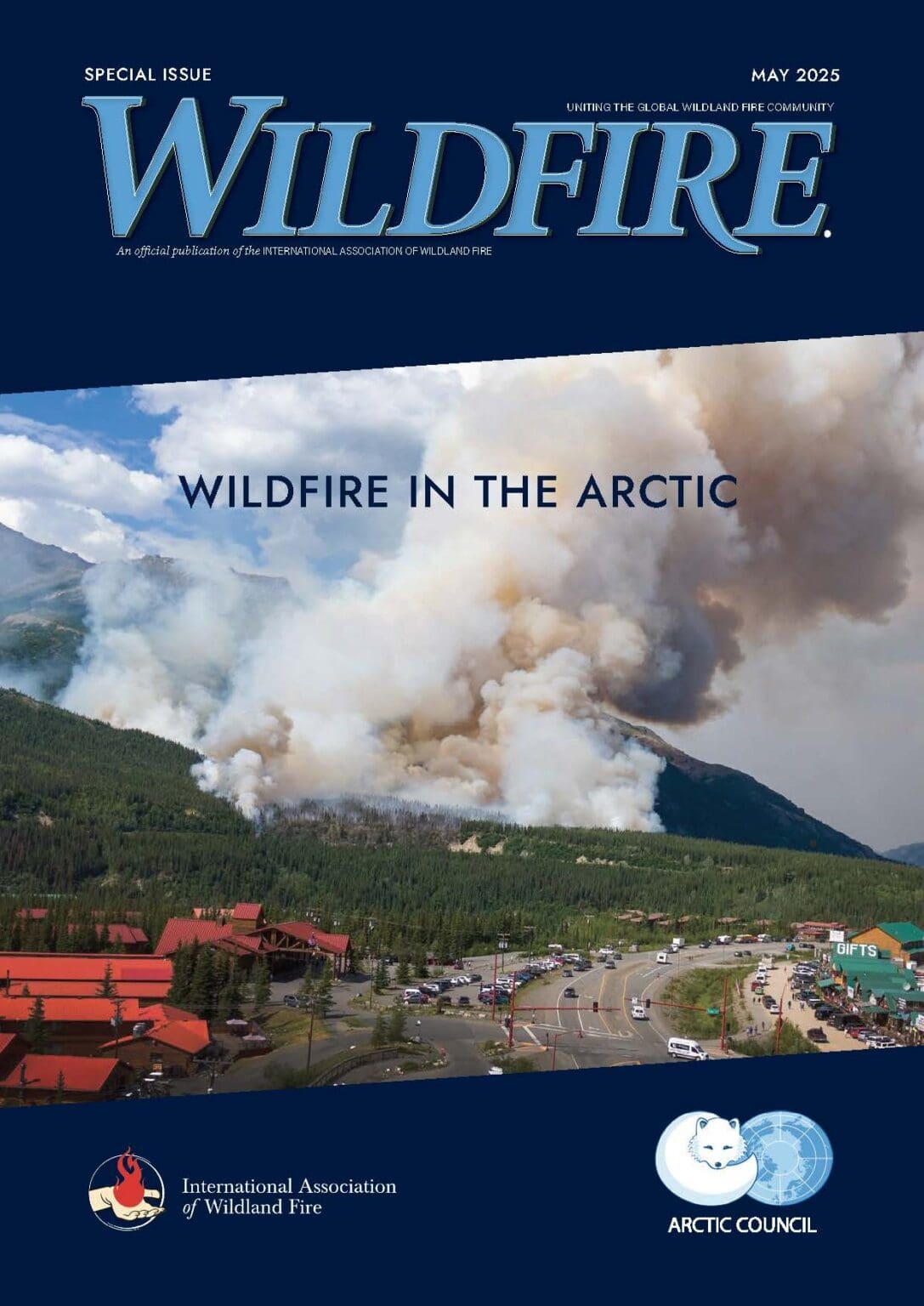 Preparation and Prevention: Developing Community Emergency Management ...